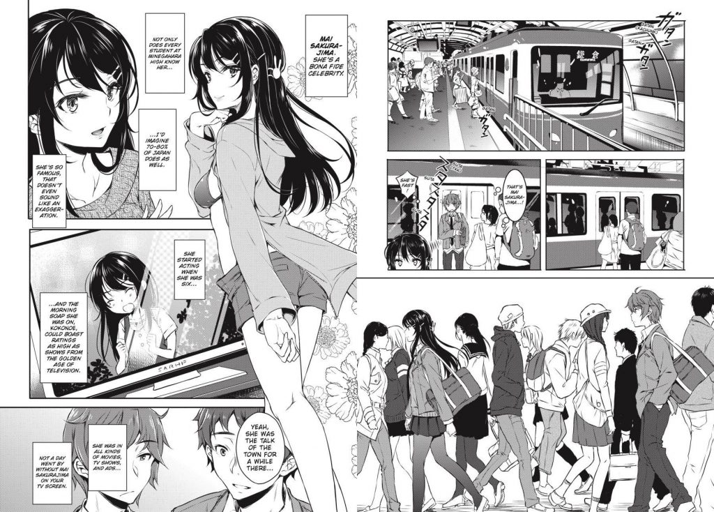 Rascal Does Not Dream of Bunny Girl Senpai | Slings & Arrows